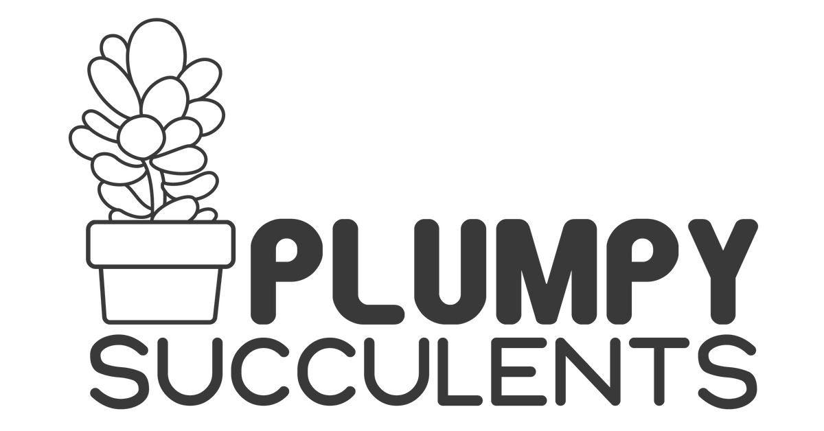 Plumpy Succulents