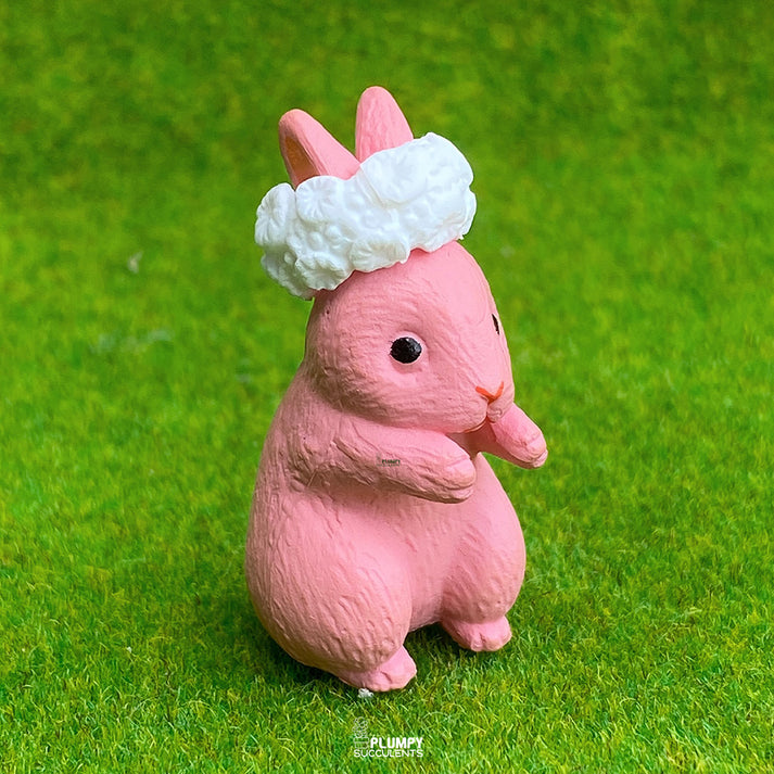 Big Rabbit – Plumpy Succulents