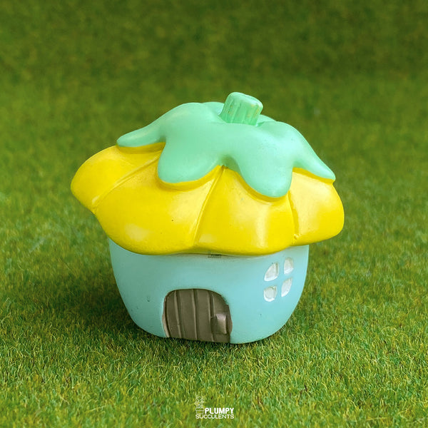 Flower House – Plumpy Succulents