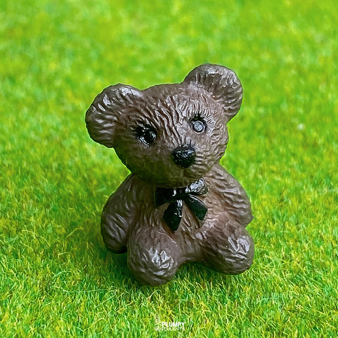 Bear – Plumpy Succulents