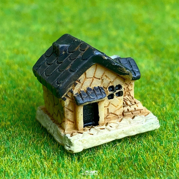 Rustic House – Plumpy Succulents