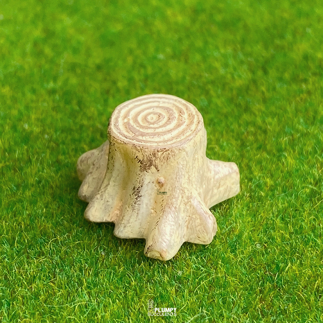 Tree Stump – Plumpy Succulents