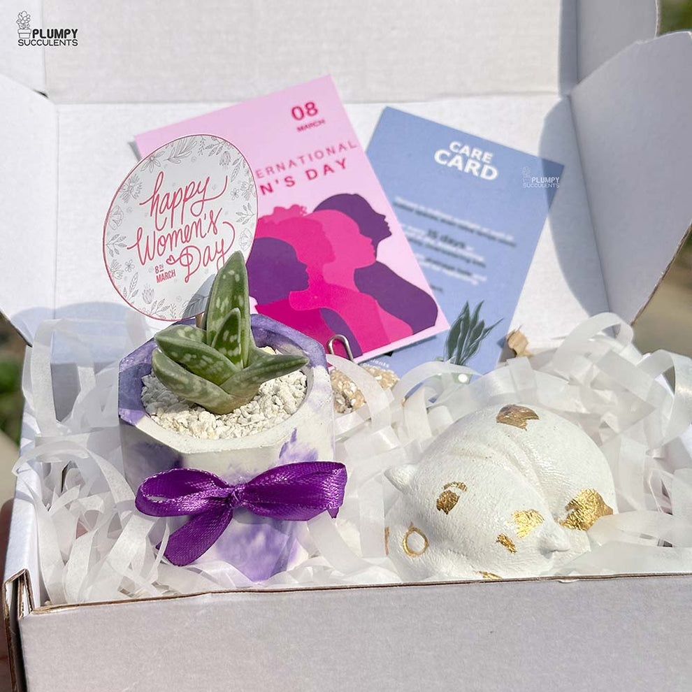Women's Day Gift Set-Mini – Plumpy Succulents