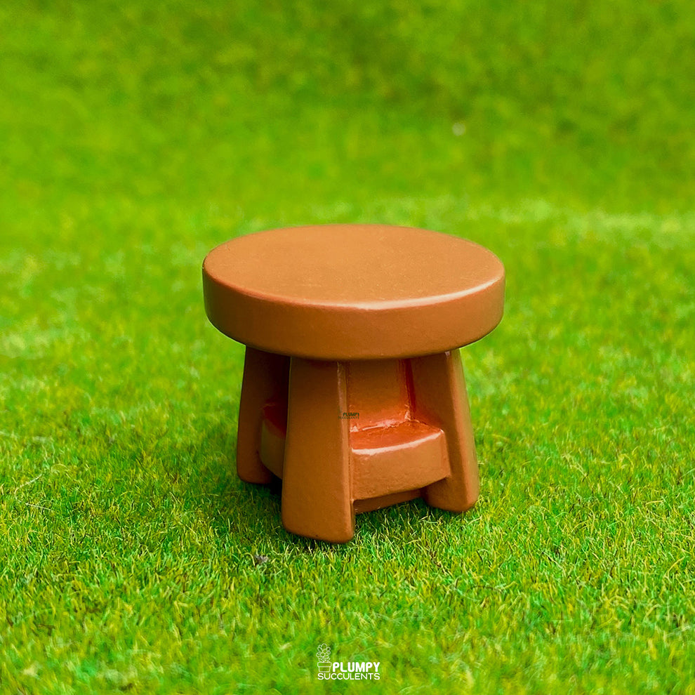 Chair & Stool Set – Plumpy Succulents